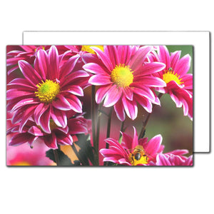 iLumipiX™ Sublimation HD Photo Panels - 12" x 18" - Pack of 10 | Joto ...